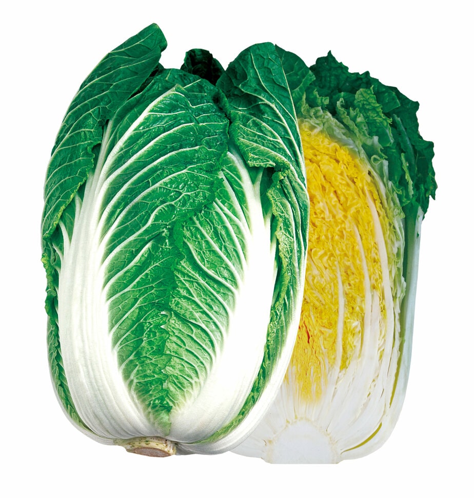 Qu'est ce que le chou chinois ? Comment l'utiliser