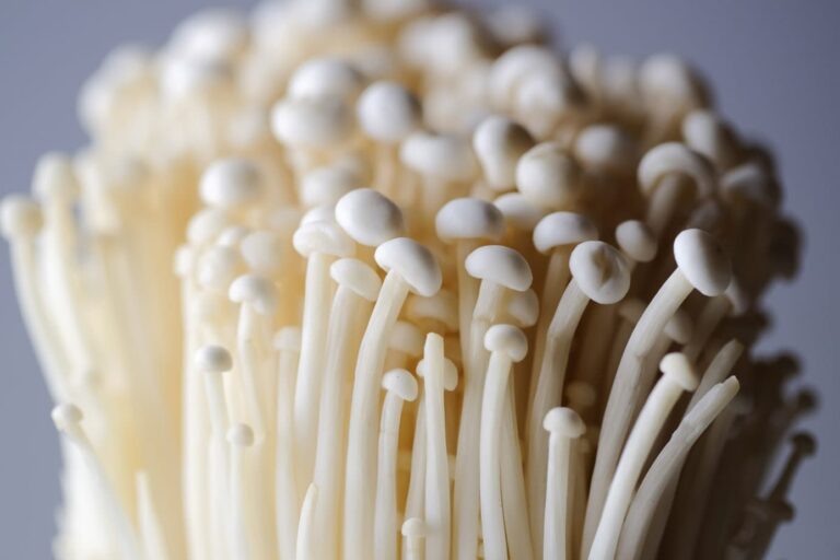 Hongos enoki: ¿qué son?