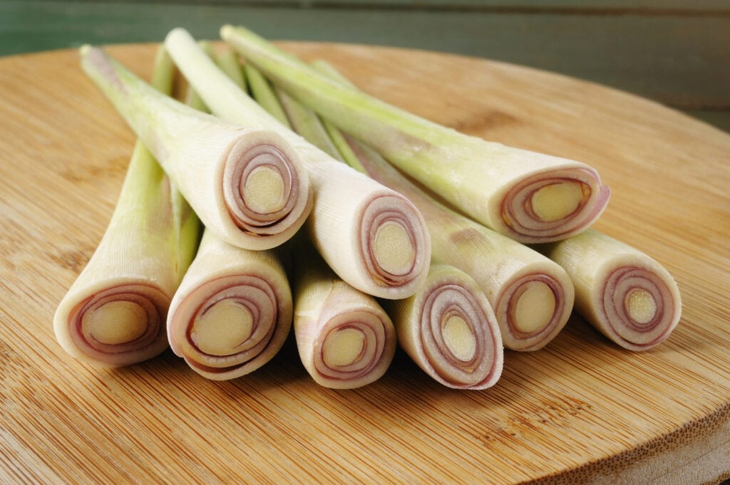 La citronnelle, qu'est-ce que c'est