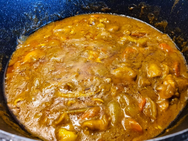 Authentique curry japonais - Marc Winer