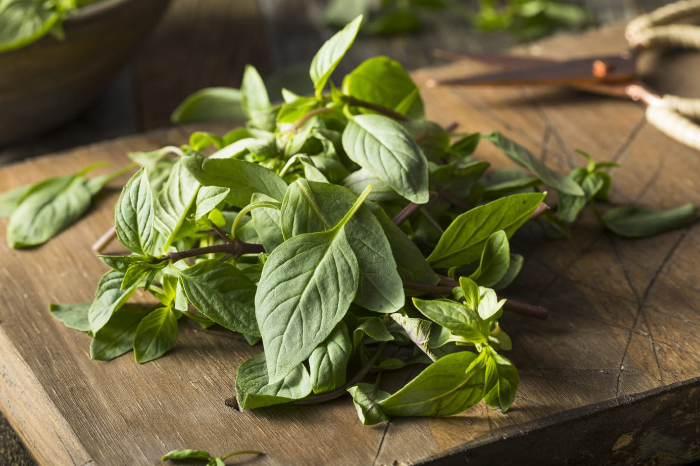 Holy Thai Basil: What Is It?