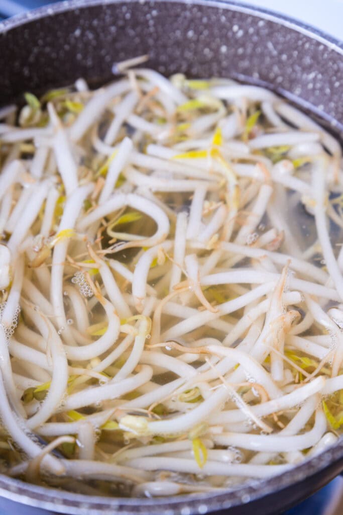 Authentic Liang Pi - Cold Chinese Rice Noodles