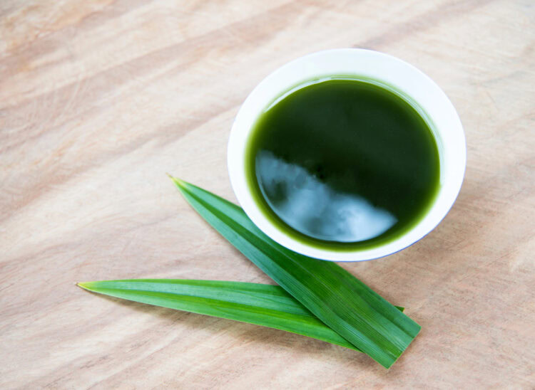 Le Pandan expliqué